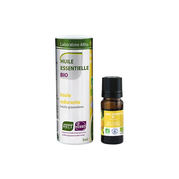 Inula / Inula graveolens – Lively Pharm